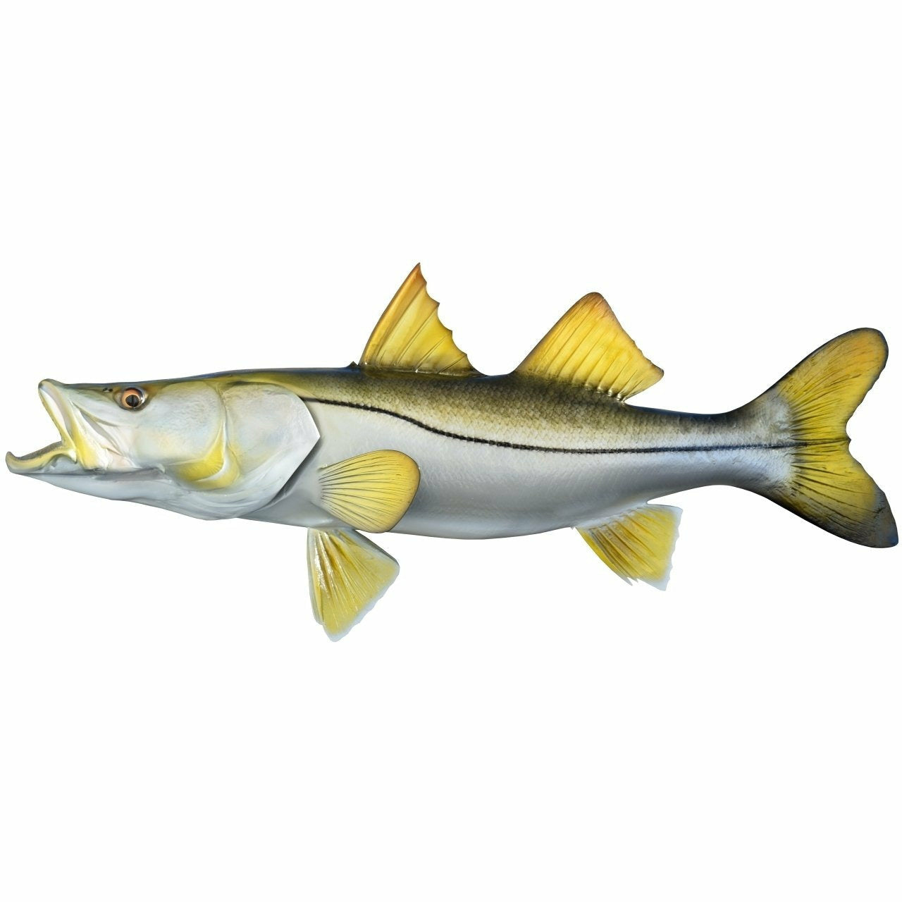 Snook Mount – 828 Flies